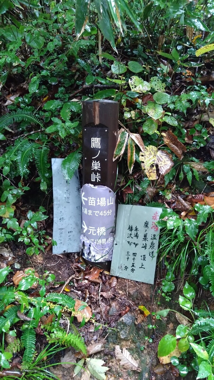 またまた赤湯温泉山口館へ ④山口館からの下山: びとくのココだけの話 ver2